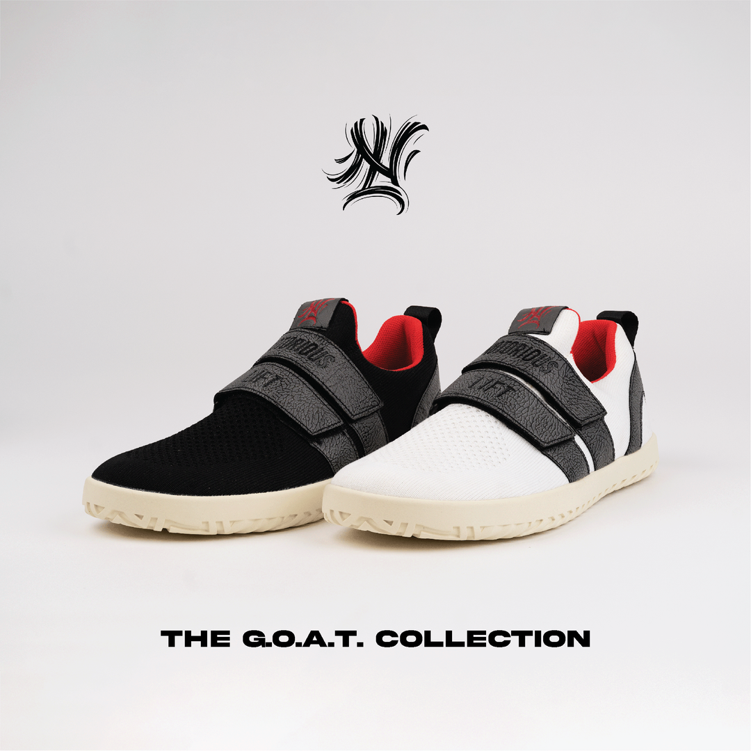 Lookbooks – Notorious Lift